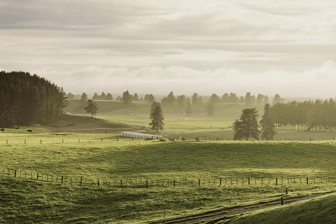 AgriZero NZ | AgriZero NZ