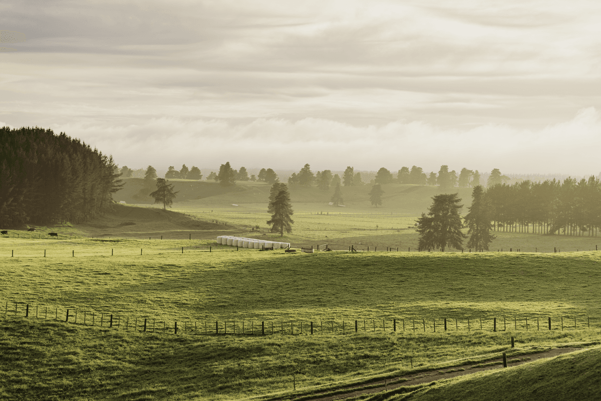 AgriZero NZ | AgriZero NZ