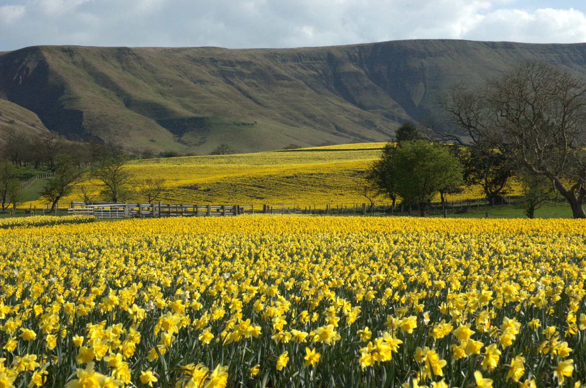 AgriZeroNZ | AgriZeroNZ